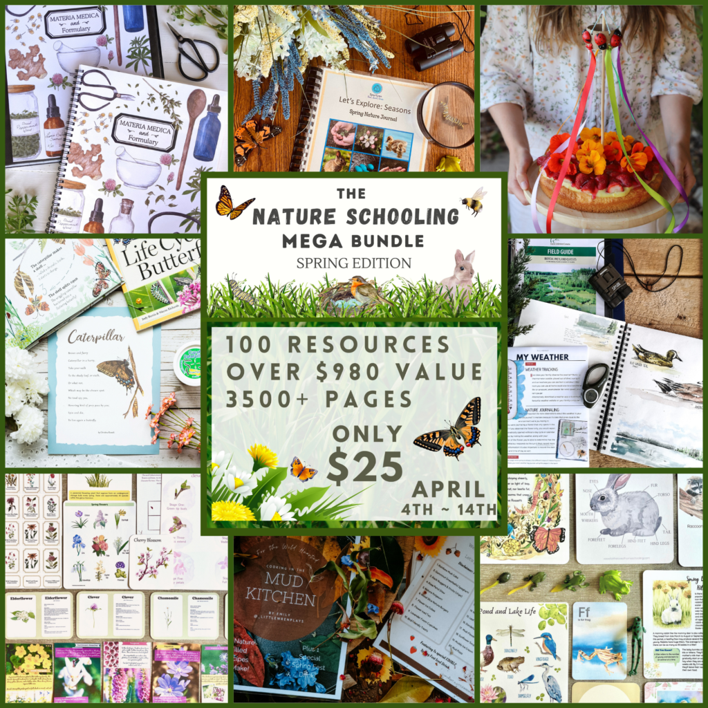 Autumn Nature Study Bible Memory Verses - Our Life in the Shire